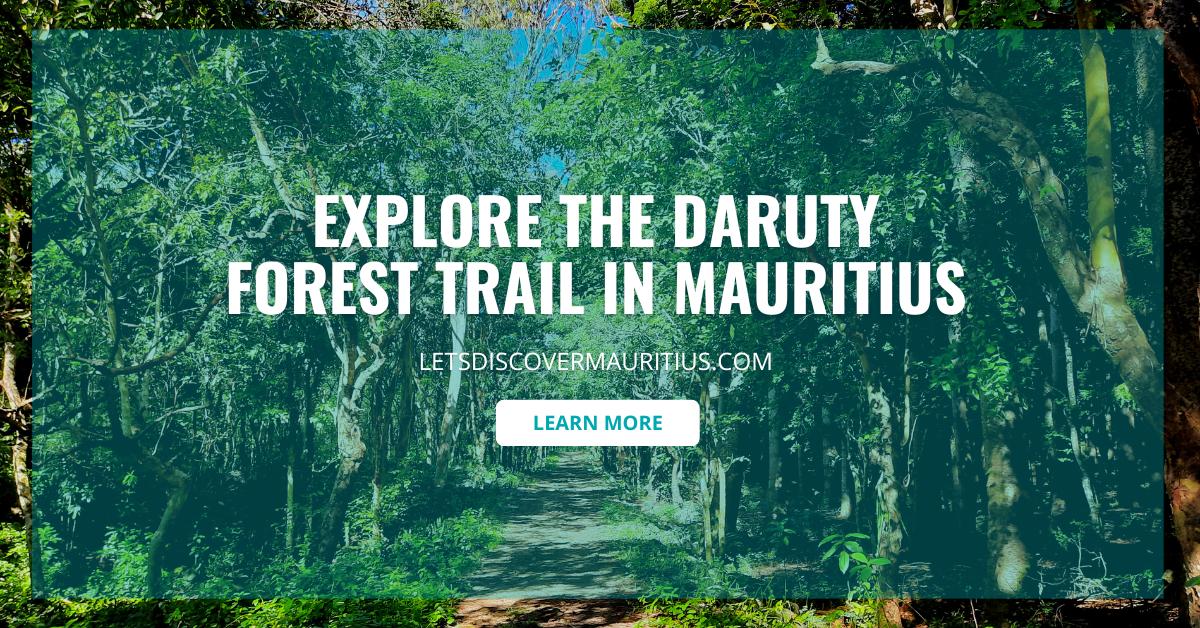Explore The Daruty Forest Trail In Mauritius - Let's Discover Mauritius